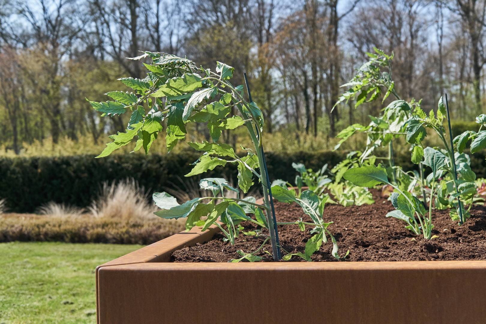 bac potager, bac de culture, jardinière corten